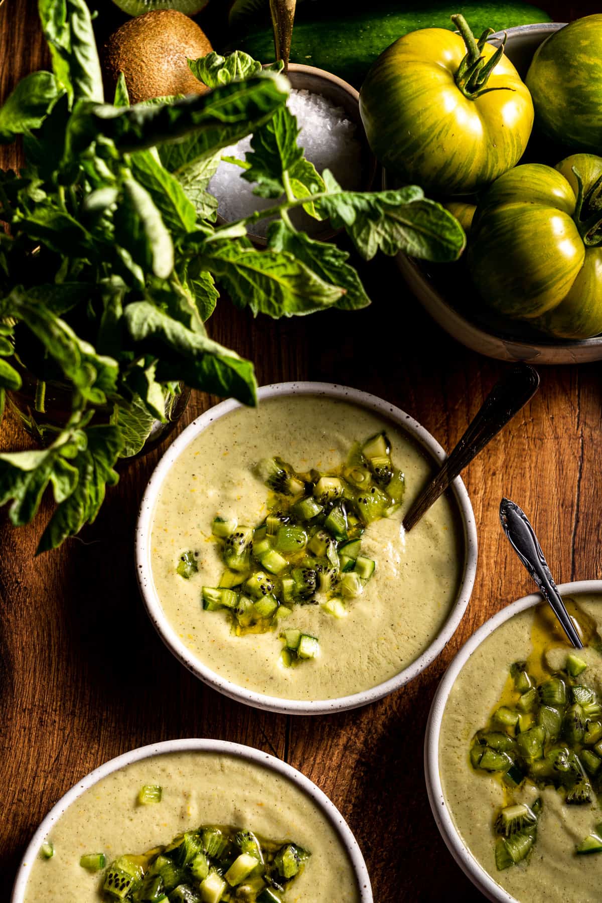 Easy Vegan Green Gazpacho (Tomato, Cucumber and Kiwi) - Leisure Fan Club